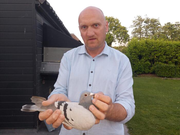 Danny van de Vrede | PIPA